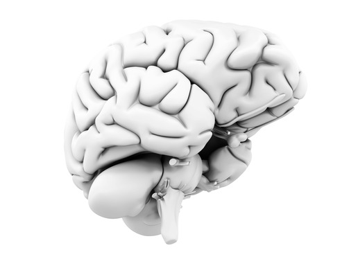Psychopathy, the brain, and bad behavior | Morality | Neuroinstincts ...